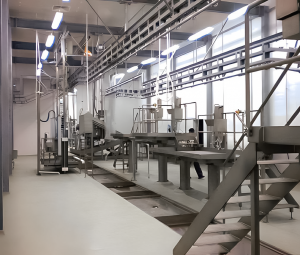 Schlachttechnik für Rinder, Schweine, Schafe, Ziegen und Kaninchen ...